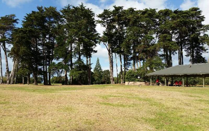 Long Bay Regional Park | Freedom/Basic Camp | New Zealand